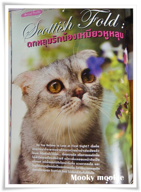 Puppy story : อยู่ดีๆ หนูก็ได้ขึ้นปก....!! Cat magazine...**