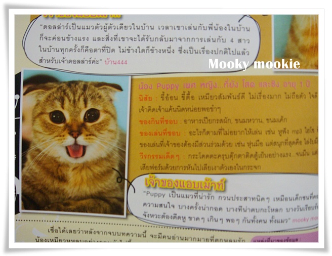 Puppy story : อยู่ดีๆ หนูก็ได้ขึ้นปก....!! Cat magazine...**