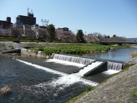 Issho ni kyoto e ikimasen ka. ไปเกียวโตด้วยกันไหม?