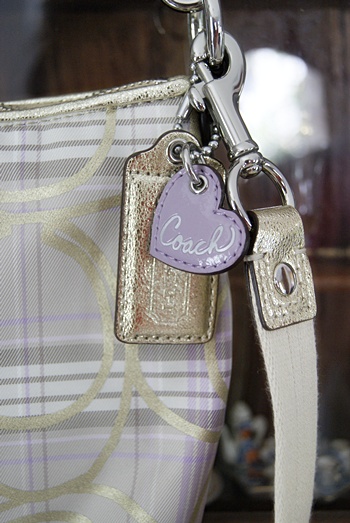 Bloggang.com : NaneeUgly : กระเป๋า Coach # 17210