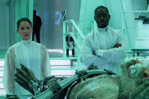 The Predator *** ความหมายของ Predator