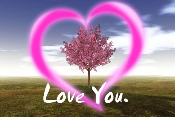 ใครบางคนเกิดมาเพื่อให้เรารัก แต่ไม่ได้เกิดมาเพื่อเป็นของเรา