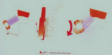 Bloggang.com : Narcosis : หมอฟันฝากบอก... ได้เวลาแปรงฟัน