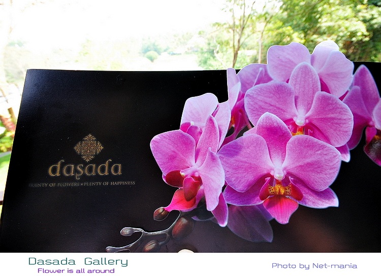 ++Dasada Gallery เขาใหญ่ ... ในวันที่ดอกไม้ อยู่รายรอบตัวเรา++