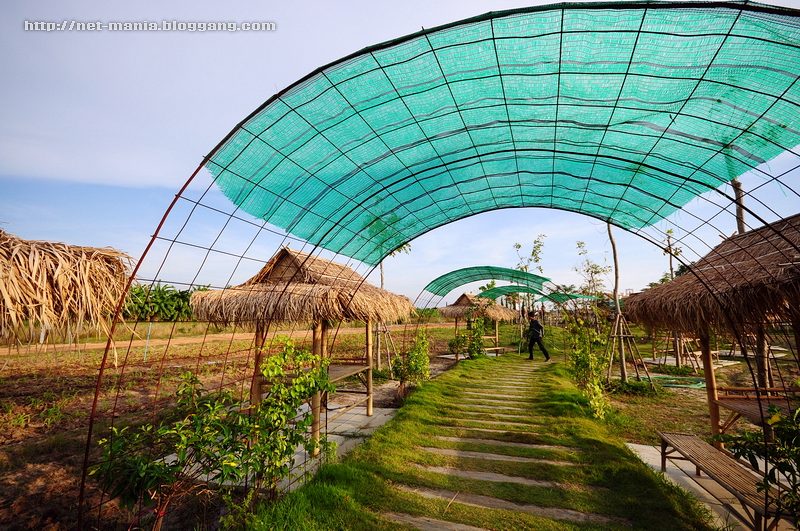 ++Mini Murrah Farm (มินิ มูร่าห์ ฟาร์ม) ... ฟาร์มแห่งนี้ไม่มีแกะ แต่มี ...