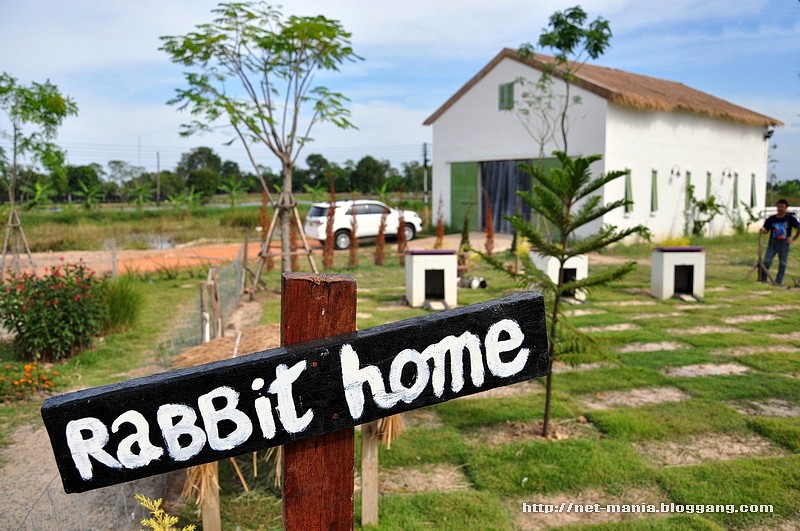 ++Mini Murrah Farm (มินิ มูร่าห์ ฟาร์ม) ... ฟาร์มแห่งนี้ไม่มีแกะ แต่มี ...