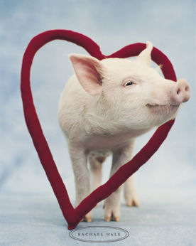 ทดสอบ ครั้งที่ 2