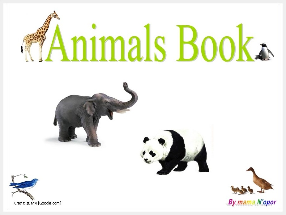 Lesson10: Animals Book