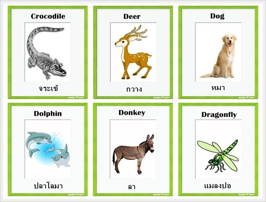 Lesson10: Animals Book