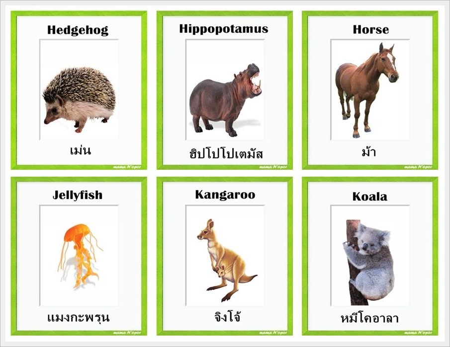 Lesson10: Animals Book