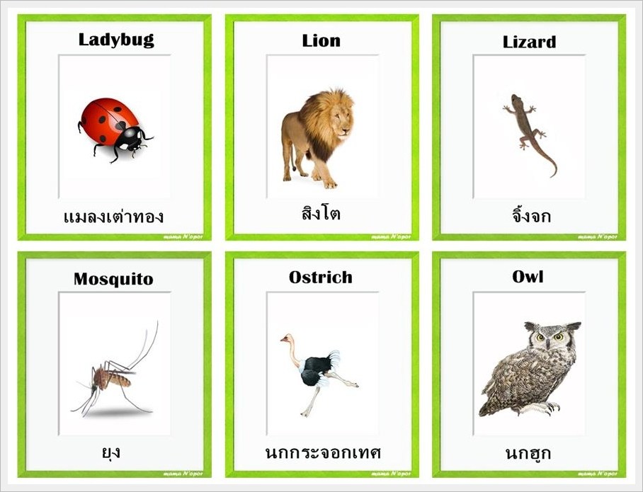 Lesson10: Animals Book