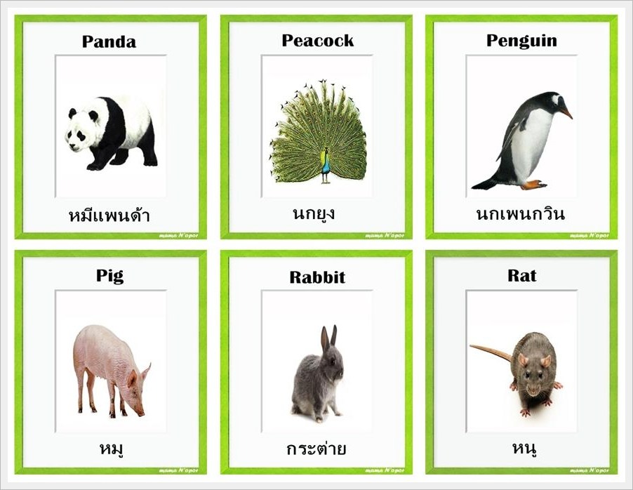 Lesson10: Animals Book