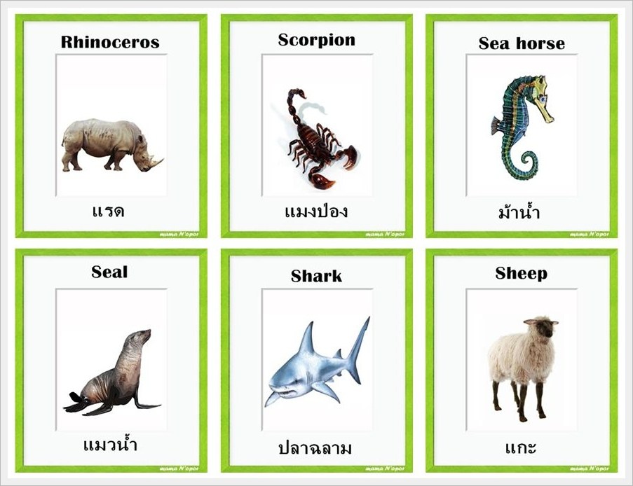 Lesson10: Animals Book