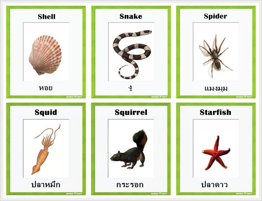 Lesson10: Animals Book