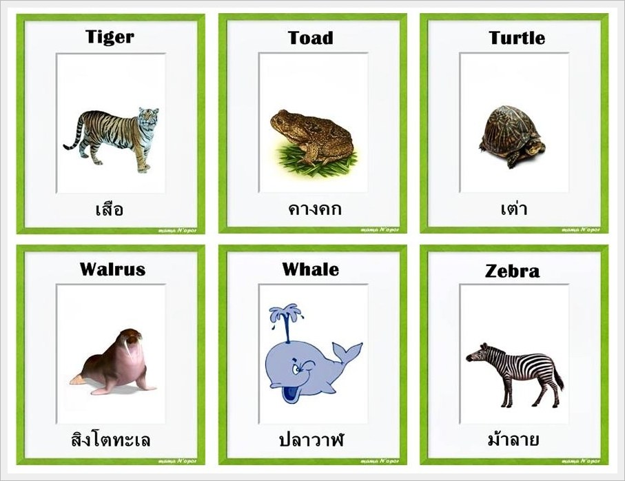 Lesson10: Animals Book