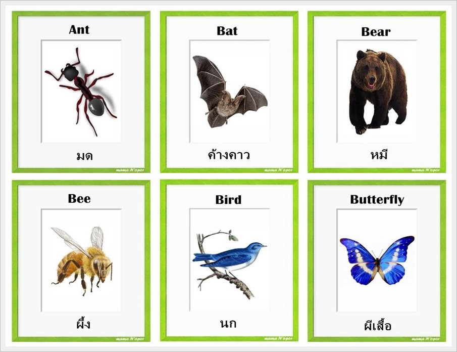 Lesson10: Animals Book