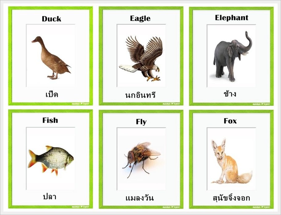 Lesson10: Animals Book