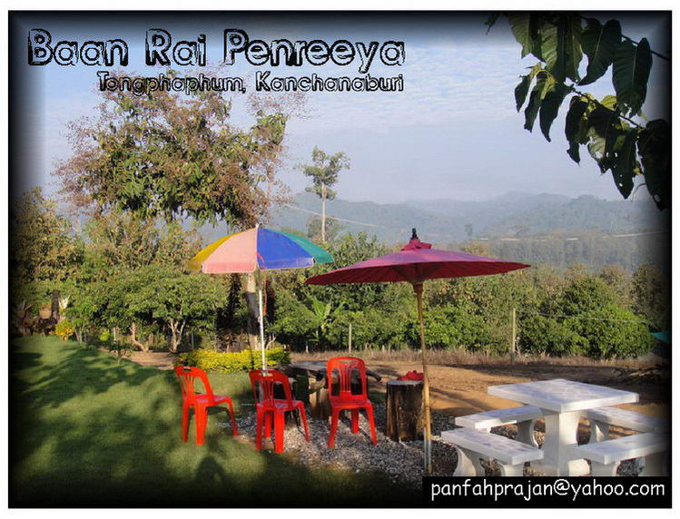 บ้านไร่เพ็ญรีญา, อ. ทองผาภูมิ จ. กาญจนบุรี (Baan Rai Penreeya ...