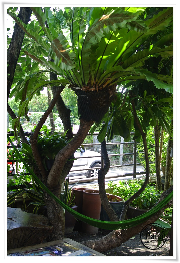 Pinto by Chak อาหารไทยหากินยาก เหมือนไปกินบ้านเพื่อน