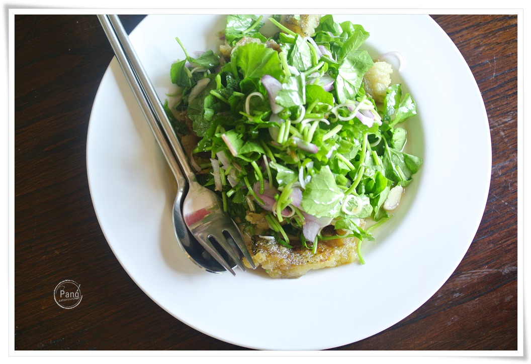 Pinto by Chak อาหารไทยหากินยาก เหมือนไปกินบ้านเพื่อน