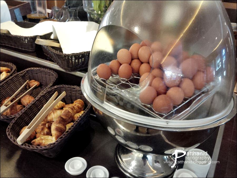 NETHERLANDS :: มาราธอนทริปตอนที่ 5 Movenpick Voorburg Hotel at Dan Hagg