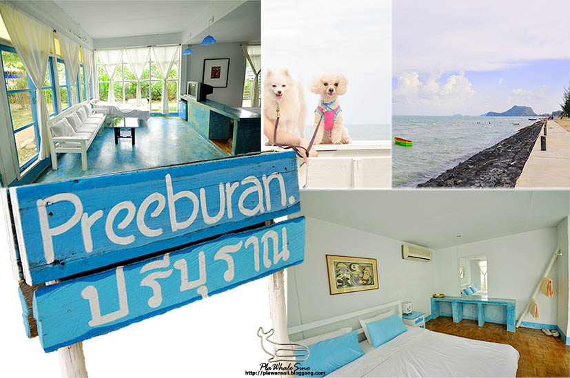 ที่พัก ปราณบุรี Preeburan + @Pran Beach Resort (น้องหมาเข้าพักได้จ้า)