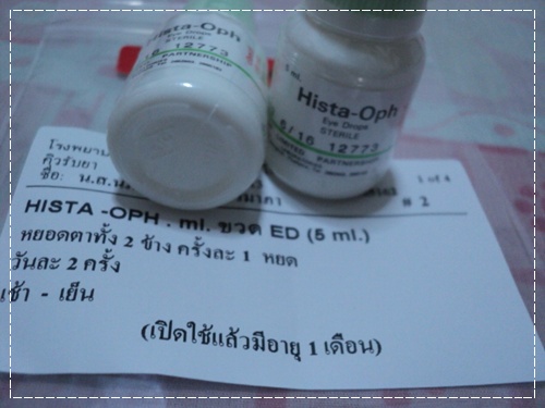 เล่าเรื่อง ภูมิแพ้