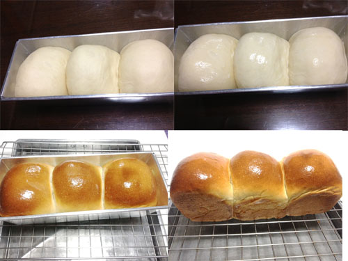 Bloggang.com : Baked by PonG : Super Soft Custard Bread