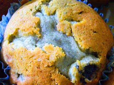 ฺBlueberry muffin