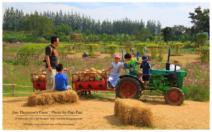 Jim Thomson Farm (2)