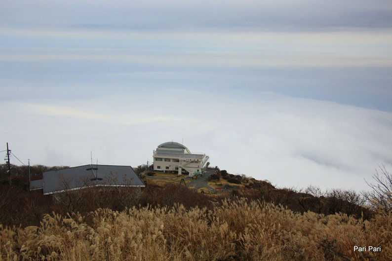 Beppu Ropeway .. นั่งกระเช้าไปละเลียดความสูง Tsurumi Mt.