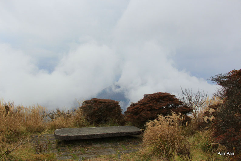 Beppu Ropeway .. นั่งกระเช้าไปละเลียดความสูง Tsurumi Mt.