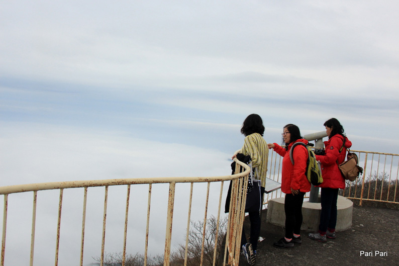 Beppu Ropeway .. นั่งกระเช้าไปละเลียดความสูง Tsurumi Mt.
