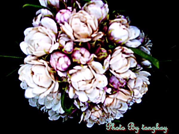 ♥♥♥ นางแย้ม ♥♥♥ (•‿•)