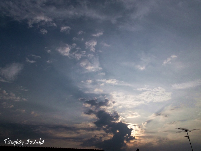 Bloggang.com : tangkay - ### ปลากุแรพล่า