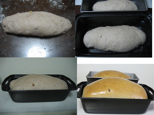 Bloggang.com : Baked by PonG : Double Soft Bread & Walnut Wholewheat Bread