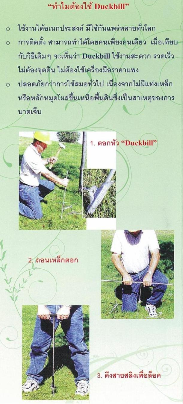 Bloggang.com : rasinee : Duckbill Earth Anchors (ยึดต้นไม้ ค้ำยันต้นไม้ ...