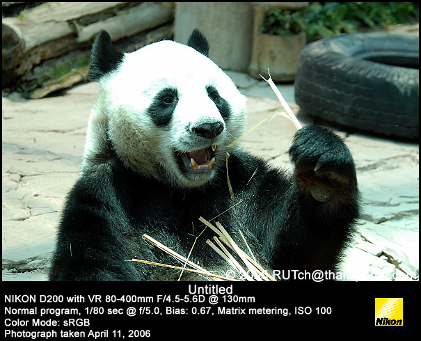 หนีเที่ยว