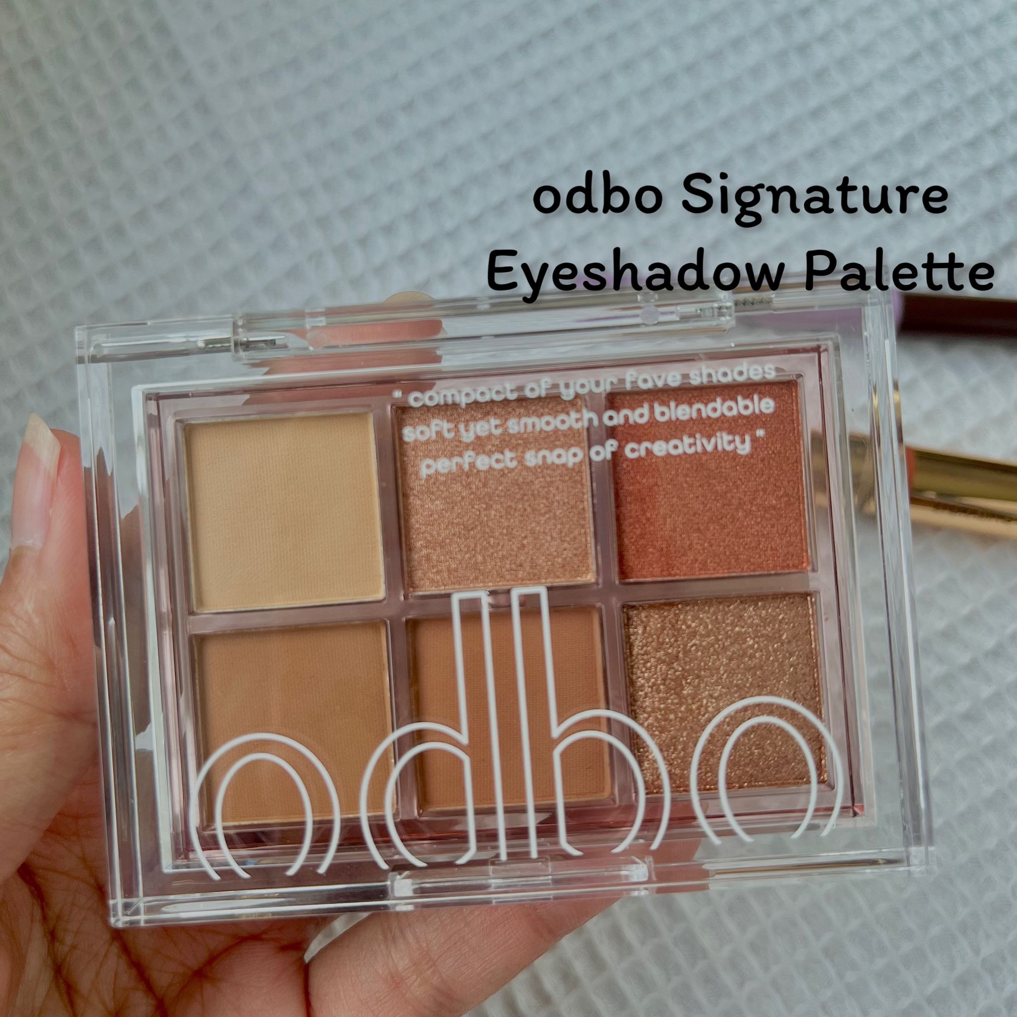 รีวิวอายแชโดว์ที่ถูกและดี ODBO Signature Eyeshadow Palette