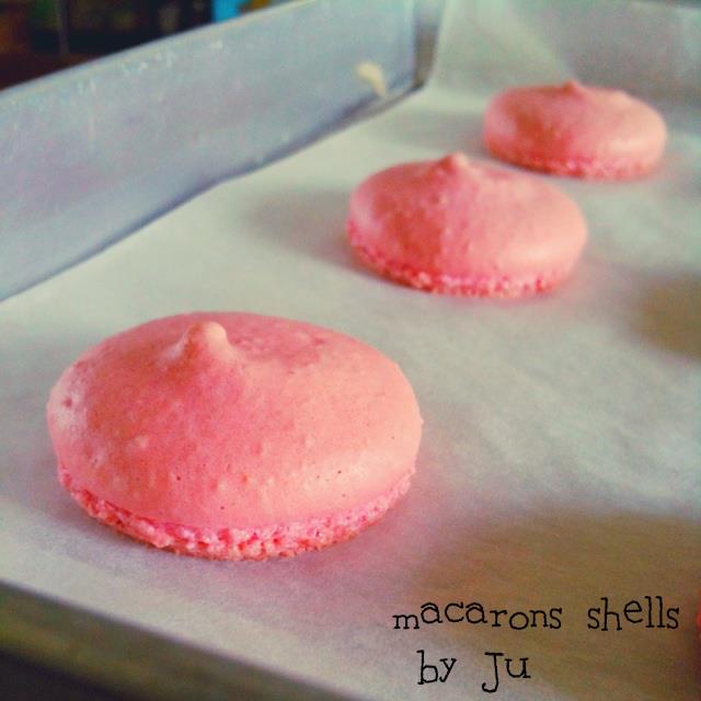 Basic macarons shells