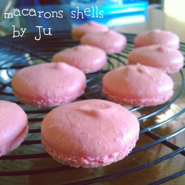 Basic macarons shells
