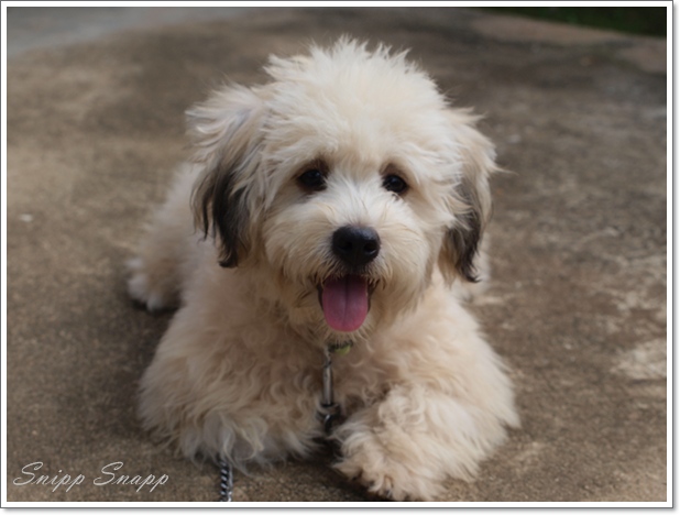 มาย...เบบี๋