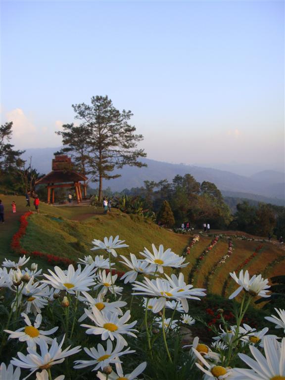 Bloggang.com : SumSam_Jang