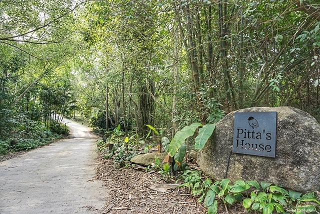 พักสมอง จิบกาแฟที่ Pitta's House เเวะชิลล์ริมทะเลที่The See Moon