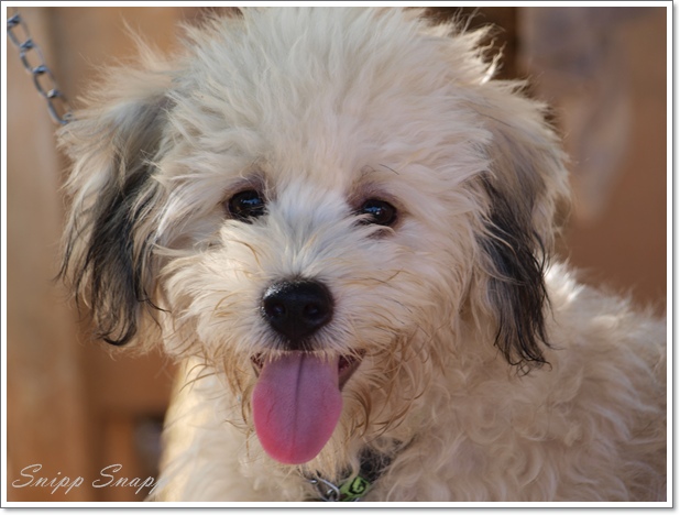 มาย...เบบี๋