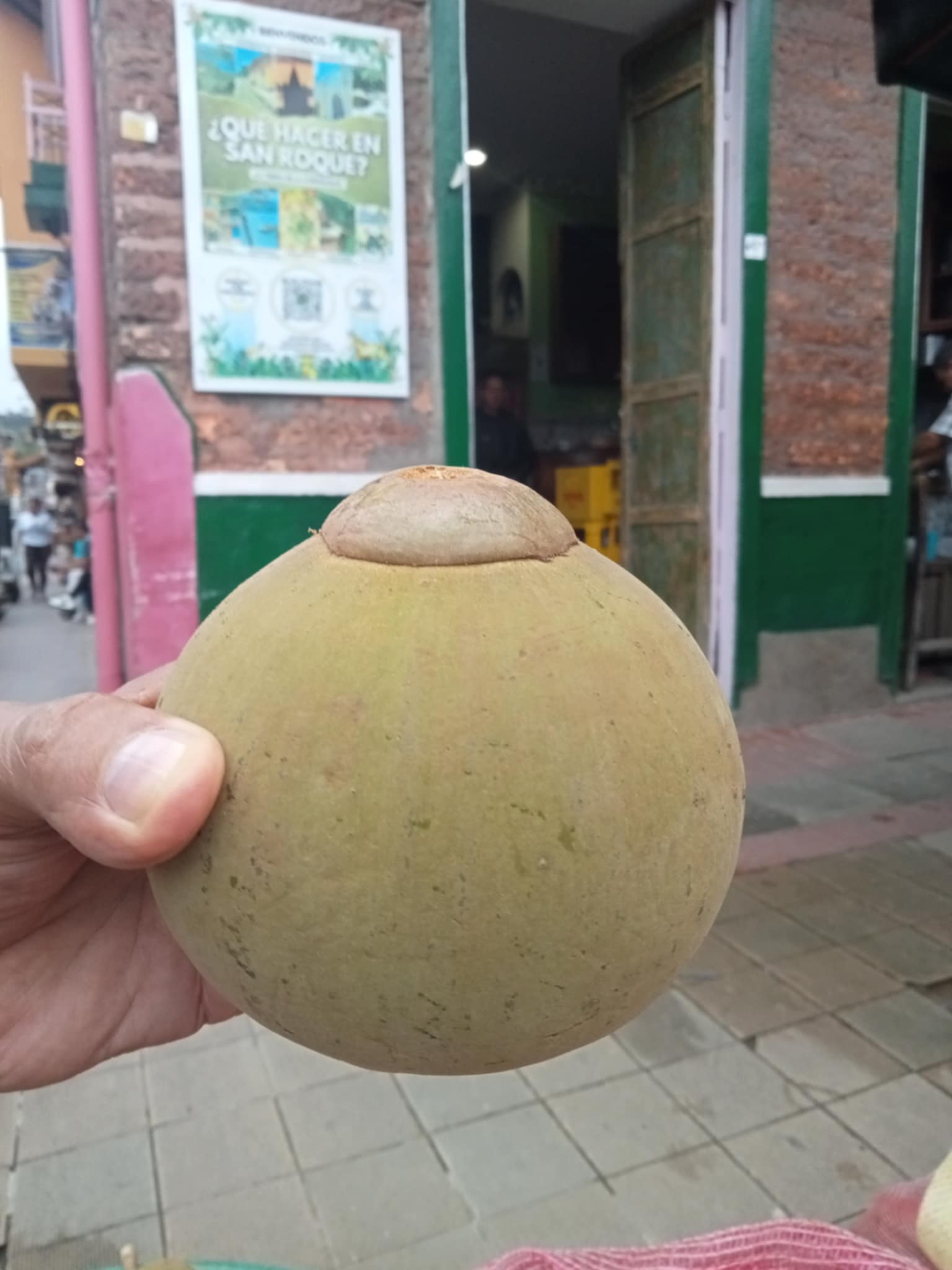 Bloggang.com : Chow Tu Tu - ผลไม้จากป่าฝน Amezon