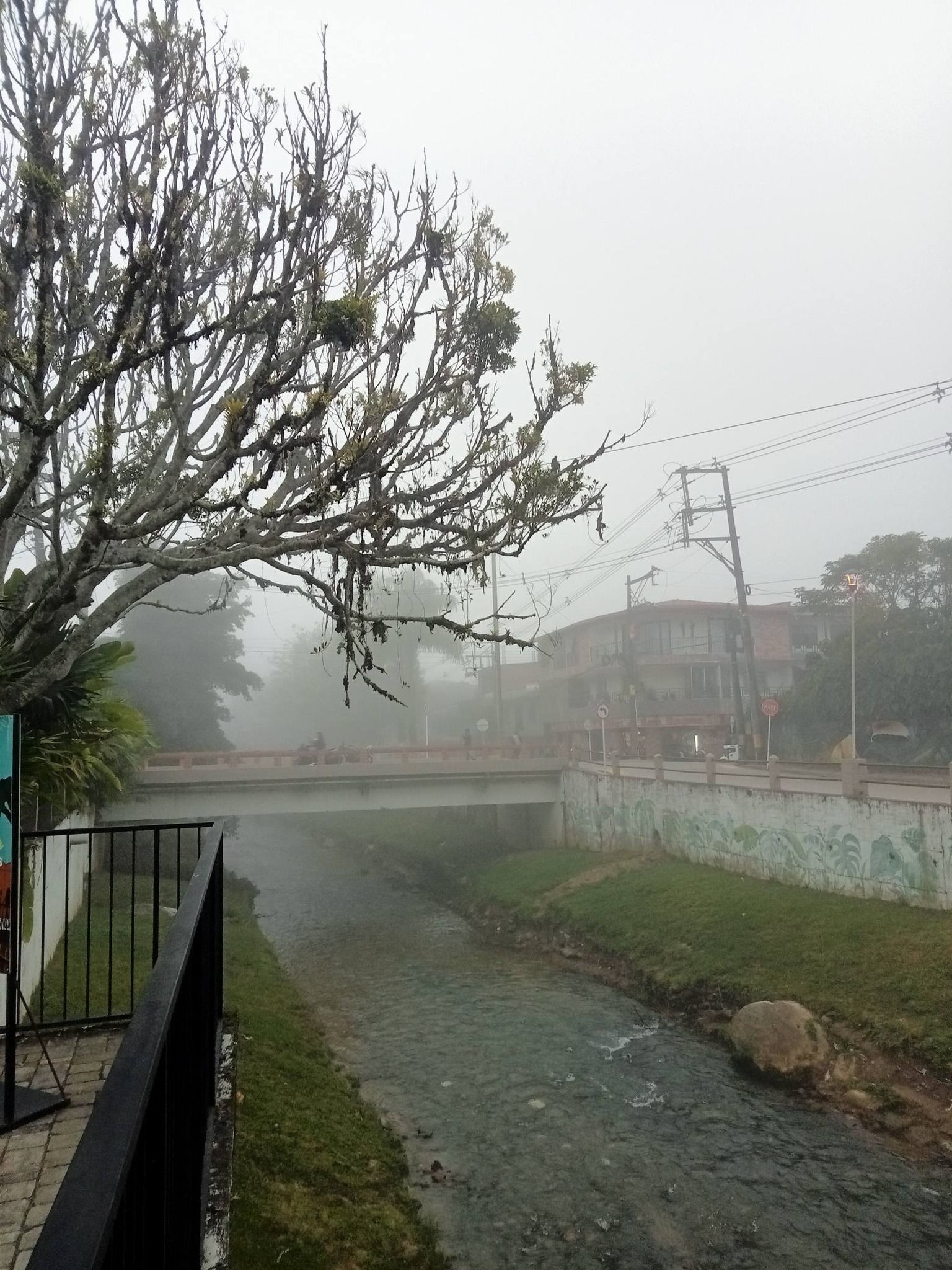 La niebla,San Roque