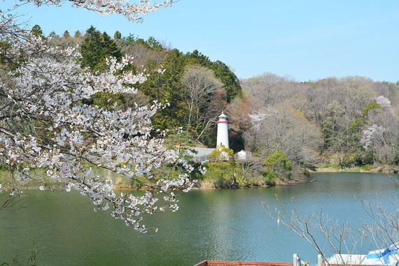 Moomin Valley Park (April 2019) Saitama Japan :: D3/8 เที่ยวเองJapan2019