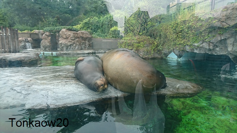 พีคของวันเนี้ยะ zoo และงานศิลปะ BABEL @ Ueno (version สมบูรณ์)