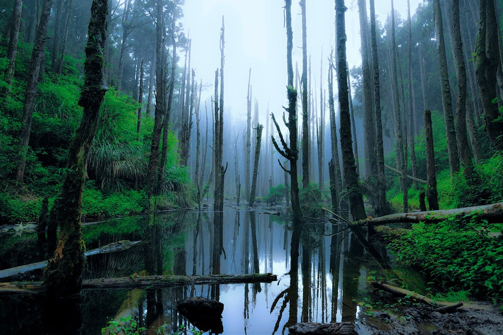 Unseen Taiwan "วั่งโยวเซินหลิน"